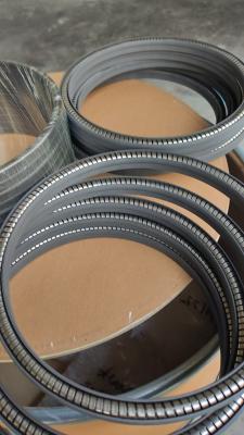 China Spring-Energized PTFE Seals Trailer Wheel Oil Seals Hydraulic Application and More for sale