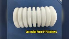 PTFE Bellows Extreme Corrosion Resistance Chemical Equipment