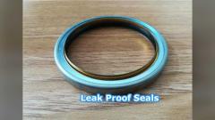 Black Rubber Oil Seal Precision Performance