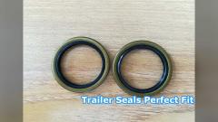 Trailer Oil Seals Stand Nostand Perfect Fit