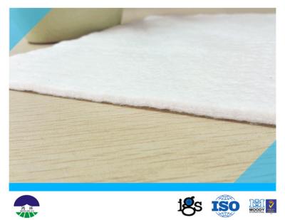 China Non Woven Geotextile Drainage Fabric Flexible For Power Plant PET 250GSM for sale
