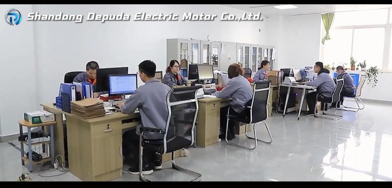Geverifieerde leverancier in China: - Shandong Depuda Electric Motor Co., Ltd.