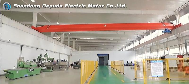 Geverifieerde leverancier in China: - Shandong Depuda Electric Motor Co., Ltd.