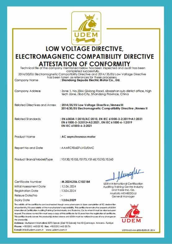  CE - Shandong Depuda Electric Motor Co., Ltd.