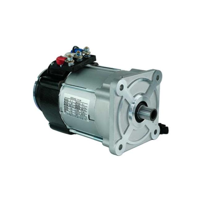 Electric Golf Cart Motor