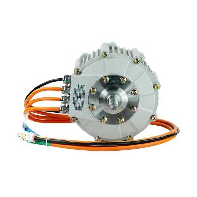 Cina Produzione professionale 5kW PMSM per moto elettrica in vendita