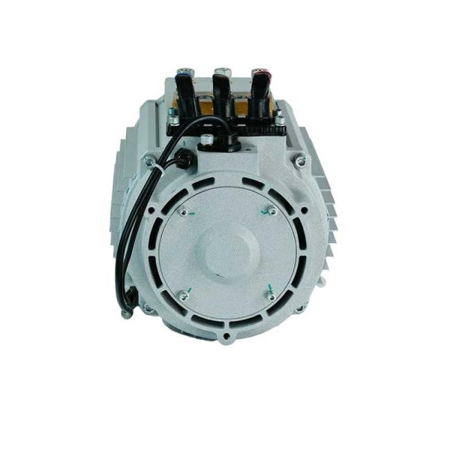 Electric Patrol Vehicle Motor