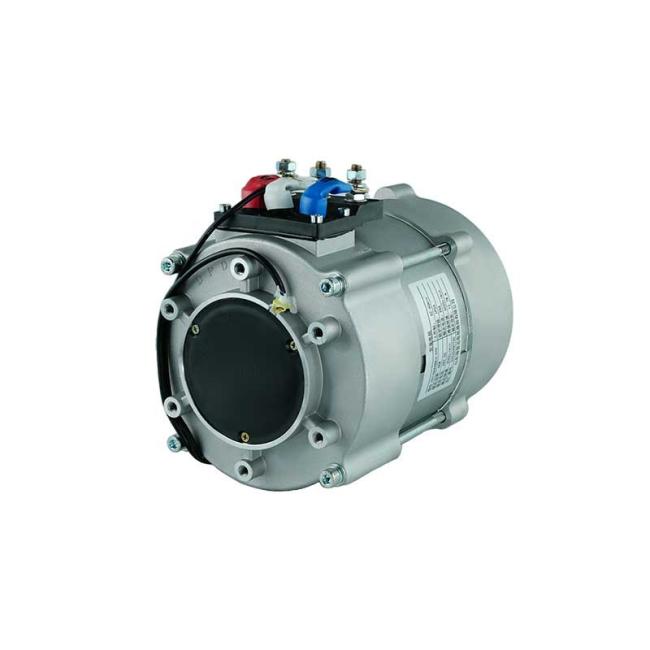 Electric Golf Cart Motor