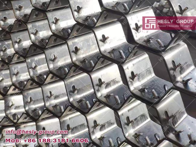 AISI310 Hexmesh China Exporter