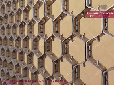 China 304H Hex Mesh for Refractory Armour Lining | 25mm deep X 14Ga thickness strip | Hexagonal Mesh - China HESLY for sale
