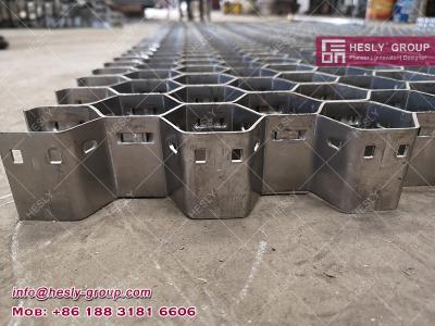 China China Hex-mesh supplier | ss310 stainless steel hex steel | thickness 2.0mm, height 19mm | standarded size 3’x10' | for sale