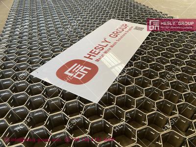 China Hexagonal Mesh Hex mesh | Strip thickness 14Gauge| 50mm strip height | 48mm hexagonal hole -HESLY group for sale