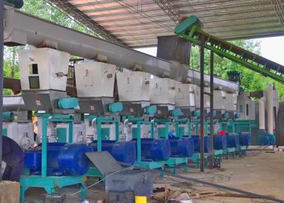 China 8-10T/H Wood Pellet Production Line Sawdust Pellet Plant Customized Capacity for sale