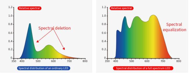 86173 Colorimeter technical features and illumination design