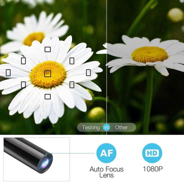 Quality 12.5mm Auto Focus 5" IPS HD Display Endoscope for sale