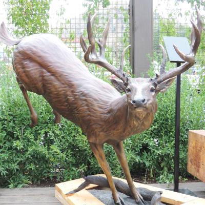 China Custom Life Size Animal Outdoor Garden Metal Bronze Deer Elk Statue Sculpture for Sale for sale