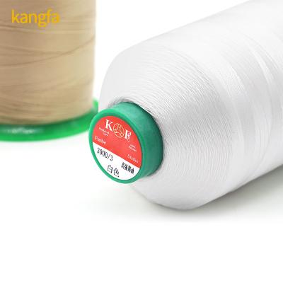 Cina 20 250 g filo di poliestere legato Tex135 filo da cucire ad alta tenacità in multicolore in vendita