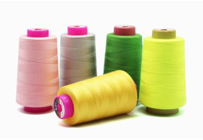 Cina Basso MOQ 40/2 Spun 100% filo di cucitura in poliestere per utensili per cuciture a macchina in vendita