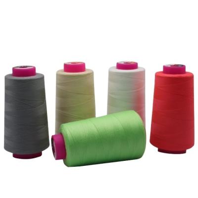 Cina Basso MOQ 40/2 Spun 100% filo di cucitura in poliestere per utensili per cuciture a macchina in vendita