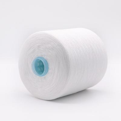 Cina Bianco 1,25 kg 40/2 20/3 30/3 100% filato di poliestere spunto per OEM in disegno bianco grezzo in vendita