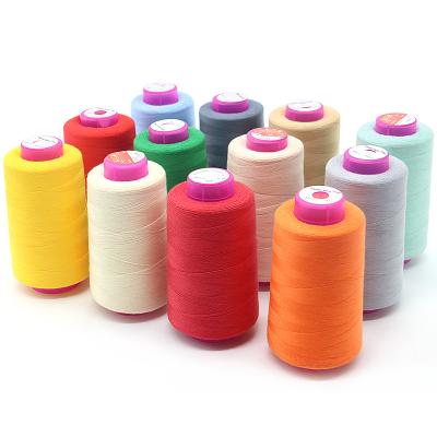 Cina Kangfa 20s/6 100% Polyester Bag Closing Thread Nastro di cucitura per borsa e OEM ODM in vendita