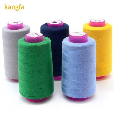 Cina 3000 Yards Nero filo da cucire 2 pacchetti 100% poliestere bobine per maglieria e prodotti artigianali MERCERIZED in vendita