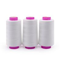 China All-Purpose Black Polyester Sewing Thread 3000 Yards for Sewing Machine 40s/2 Tex27 for sale