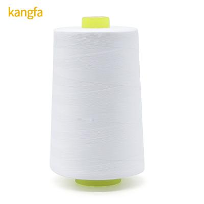 Cina 40/3 filo di copertura per il bordo del telaio, adesivo per il nastro, resistenza chimica, filo di cucitura in poliestere 500 g in vendita