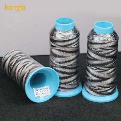 Cina OEM/ODM 96 colori fili di ricamo in poliestere 100% multicolore variegato per ricamo a macchina in vendita