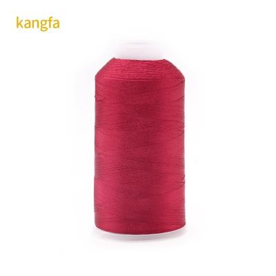 Cina 120g Peso netto 120D/2 Alta resistenza al colore Fiducia al colore Filato ricamato in poliestere per spot in vendita