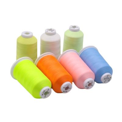 Cina 120D/2 150D/2 300D/2 Filato di ricamo a cambiamento di colore in poliestere per ricamo a macchina in vendita