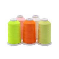 China 120D/2 150D/2 300D/2 Polyester Color Changing Embroidery Thread for Machine Embroidery for sale
