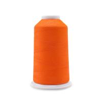 China 120D/2 150D/2 300D/2 Polyester Color Changing Embroidery Thread for Machine Embroidery for sale