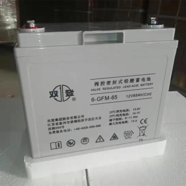 Quality 21kg AGM Battery 12V65Ah for Emergency Fire Power Solar Energy Storage Power for sale