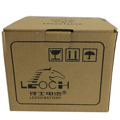 Cina Leoch sostituzione della batteria DJW12-24s 12V24Ah batteria al piombo acido per la comunicazione di energia in vendita