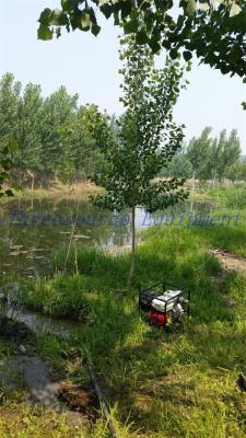 Китай TSP-Flush40 drilling rig for river net area oil shothole продается