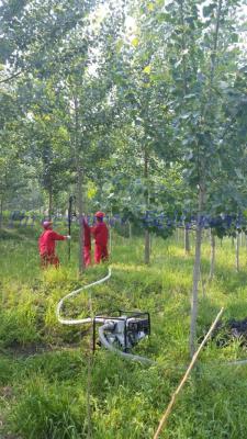 Китай TSP-Flush40 drilling rig for river net area oil shothole продается