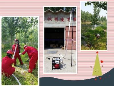 China TSP-Flush40 drilling rig for shothole for sale