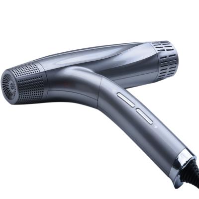Cina Ultra Quiet Salon Electric Hair Dryer Smoothing Frizz For Women Men in vendita