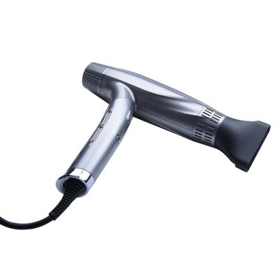 Cina Ultra Quiet Salon Electric Hair Dryer Smoothing Frizz For Women Men in vendita