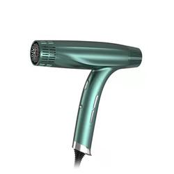 Cina Ultra Quiet Salon Electric Hair Dryer Smoothing Frizz For Women Men in vendita