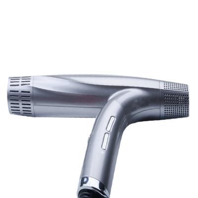 Cina Powerful 1600W AC Motor Electric Hair Dryer Positive & Negative Ion With Diffuser in vendita