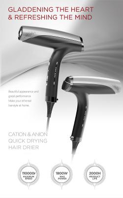 Cina Custom Professional Hair Blow Dryer Phantom Salon With Strong Wind in vendita