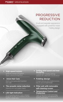 Cina Custom Professional Hair Blow Dryer Phantom Salon With Strong Wind in vendita