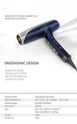 Cina Custom Professional Hair Blow Dryer Phantom Salon With Strong Wind in vendita