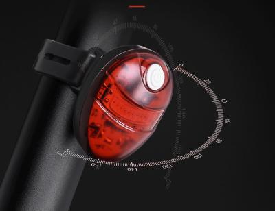 Cina Luce ricaricabile della coda della bicicletta del Usb dei bambini della luce della bicicletta di induzione LED del freno di guida di notte in vendita