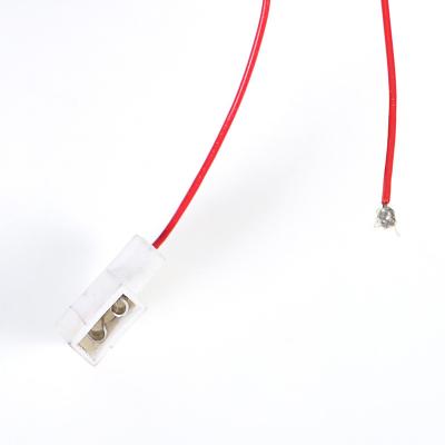 Cina Vapore ptc Heater Automatic Ptc Heating Element elettrica 220V dell'attrezzatura di bellezza in vendita