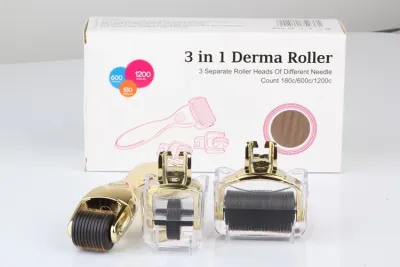 China OEM/ODM customized brand 3 In 1 Drs Derma Roller For Anti Aging Stainless Steel Titanium for sale
