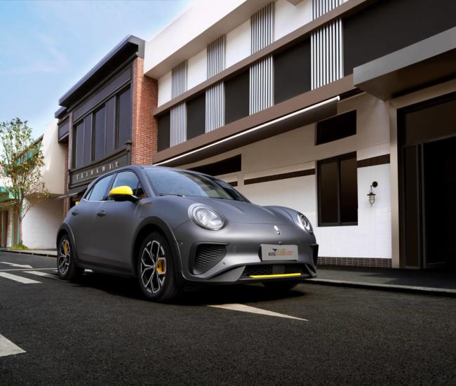 Wholesale Sales Good Prices Made in China Great Wall Ora Funky Cat Electric Vehicle Car