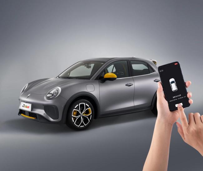 Wholesale Sales Good Prices Made in China Great Wall Ora Funky Cat Electric Vehicle Car